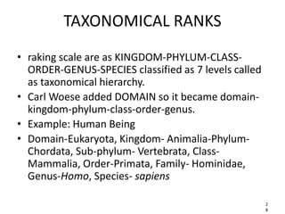 Classification of organisms | PPT