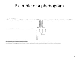 Classification of organisms | PPT