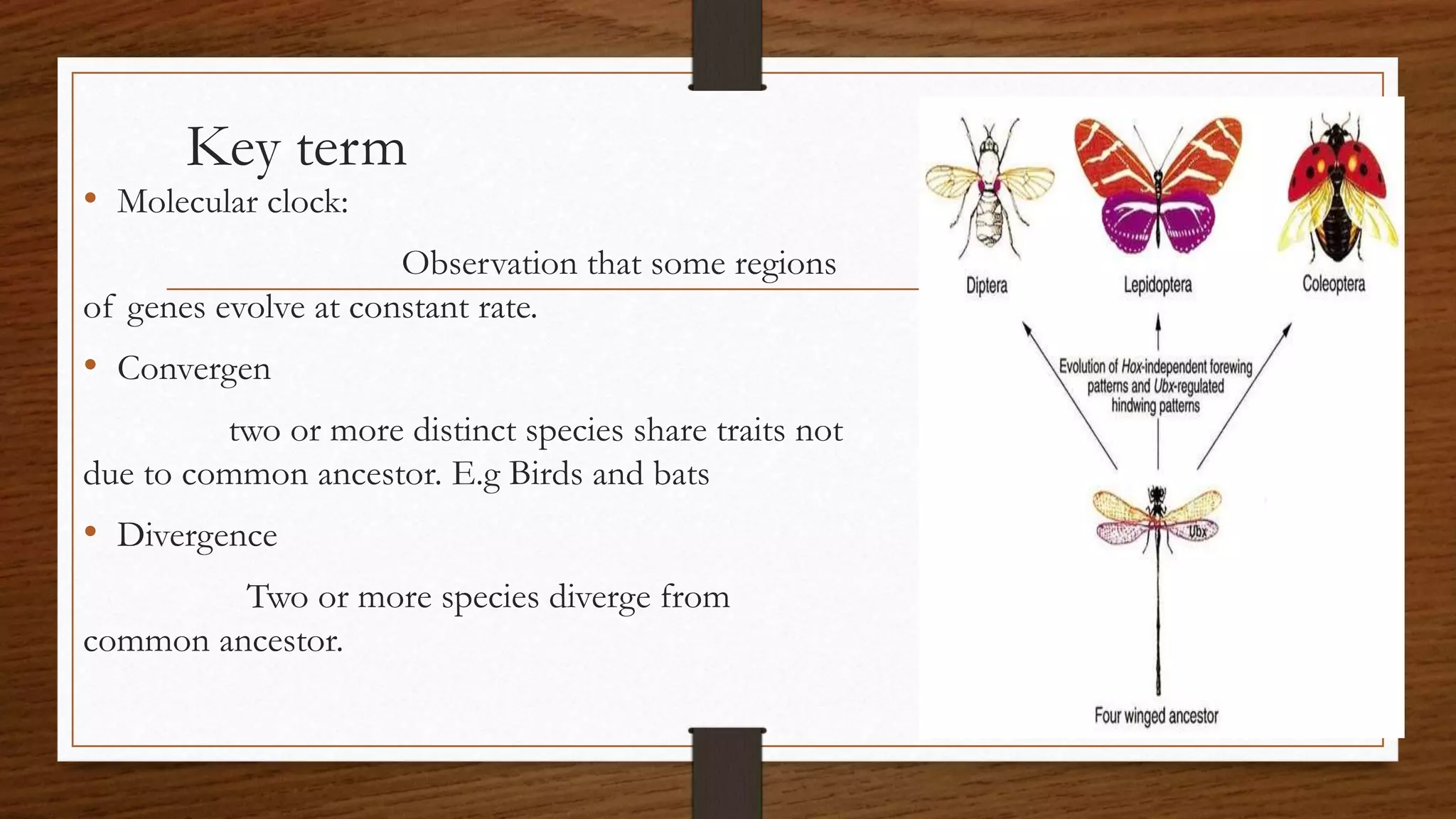 Classification of organisms | PPT