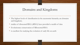 Classification of organisms | PPT
