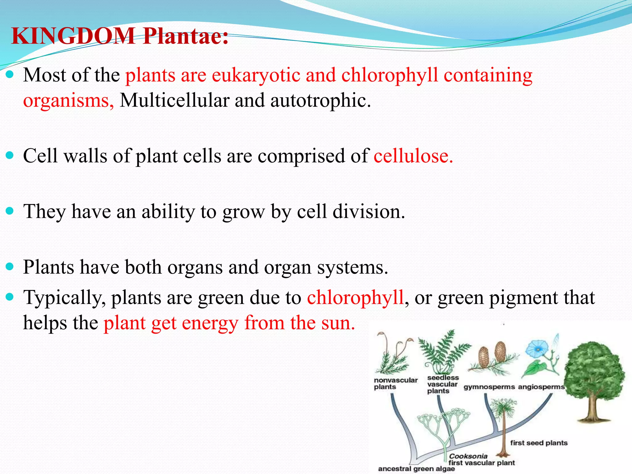 Cell biology: Classification of organisms | PPTX