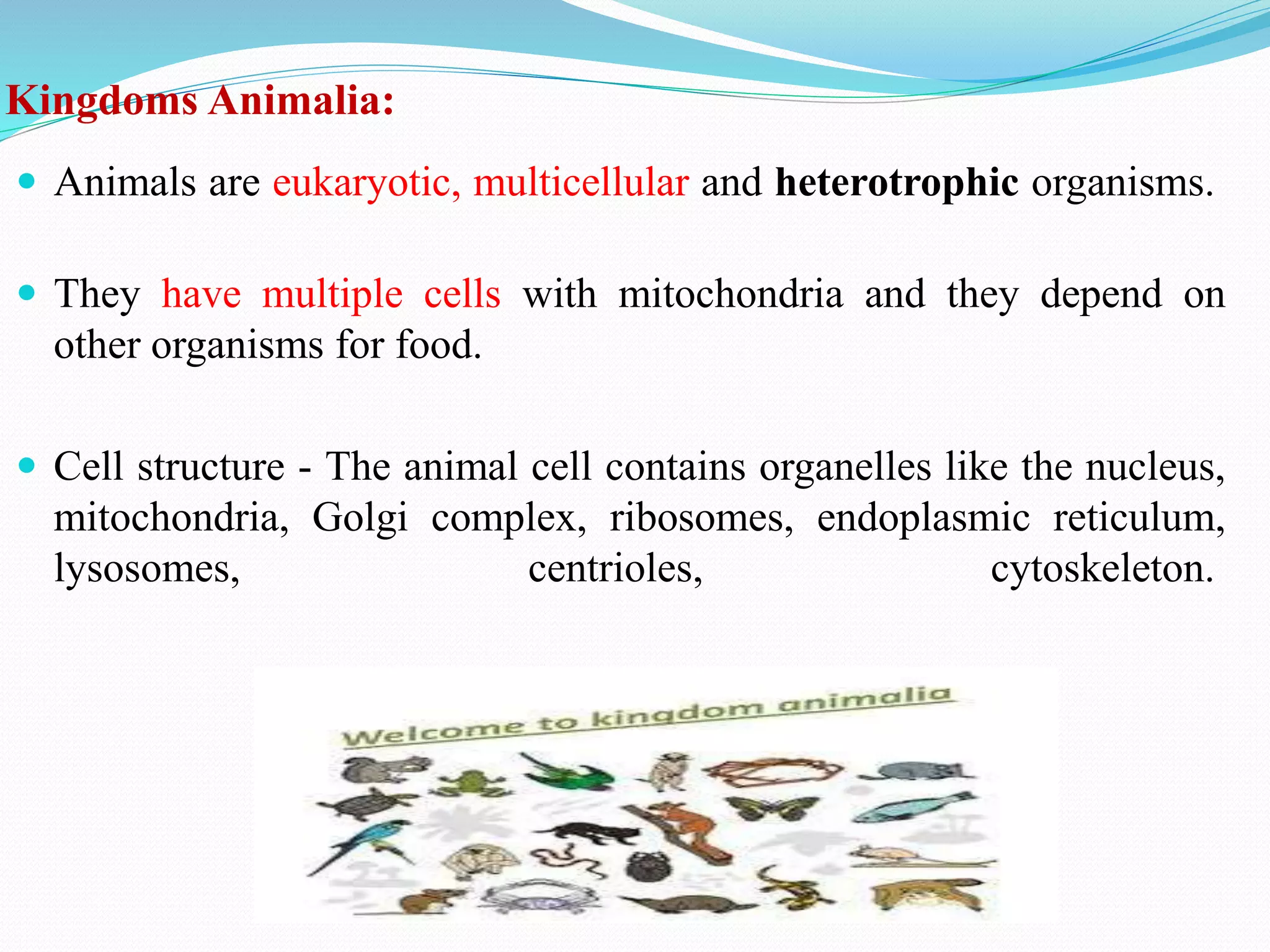 Cell biology: Classification of organisms | PPTX