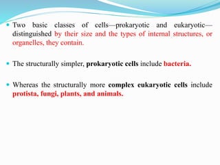 Cell biology: Classification of organisms | PPTX