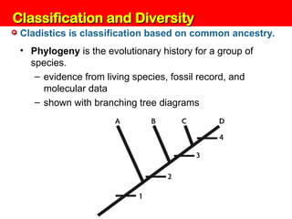Classification of Organisms Part 2.ppt final | PPT