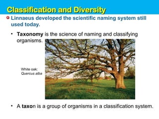 Classification of Organisms Part 2.ppt final | PPT