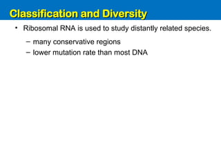 Classification of Organisms Part 2.ppt final | PPT