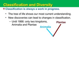 Classification of Organisms Part 2.ppt final | PPT