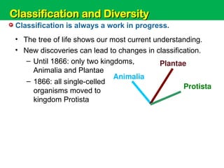 Classification of Organisms Part 2.ppt final | PPT