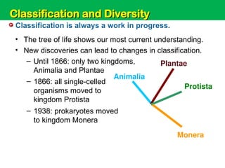 Classification of Organisms Part 2.ppt final | PPT