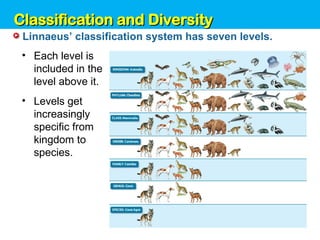 Classification of Organisms Part 2.ppt final | PPT