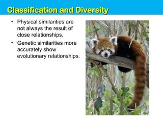 Classification of Organisms Part 2.ppt final | PPT