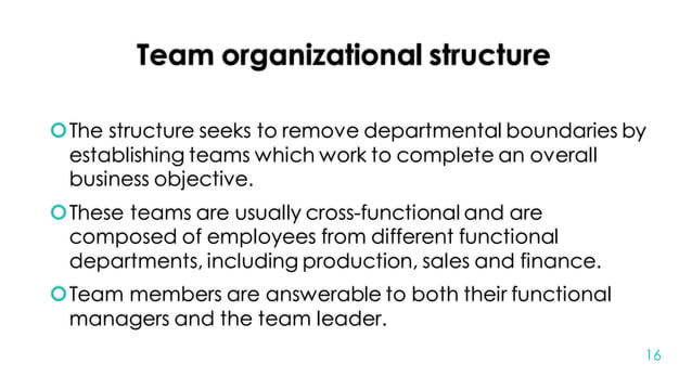 Classification of Organization Structure.pdf