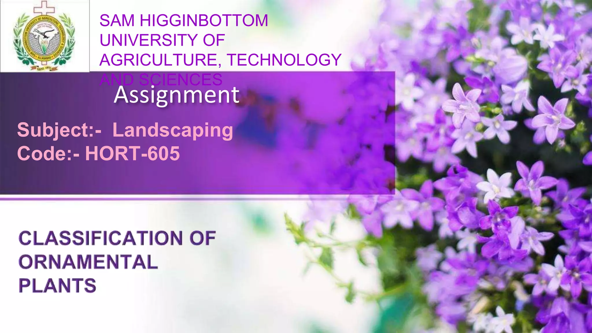 classification of ornamentals.pptx