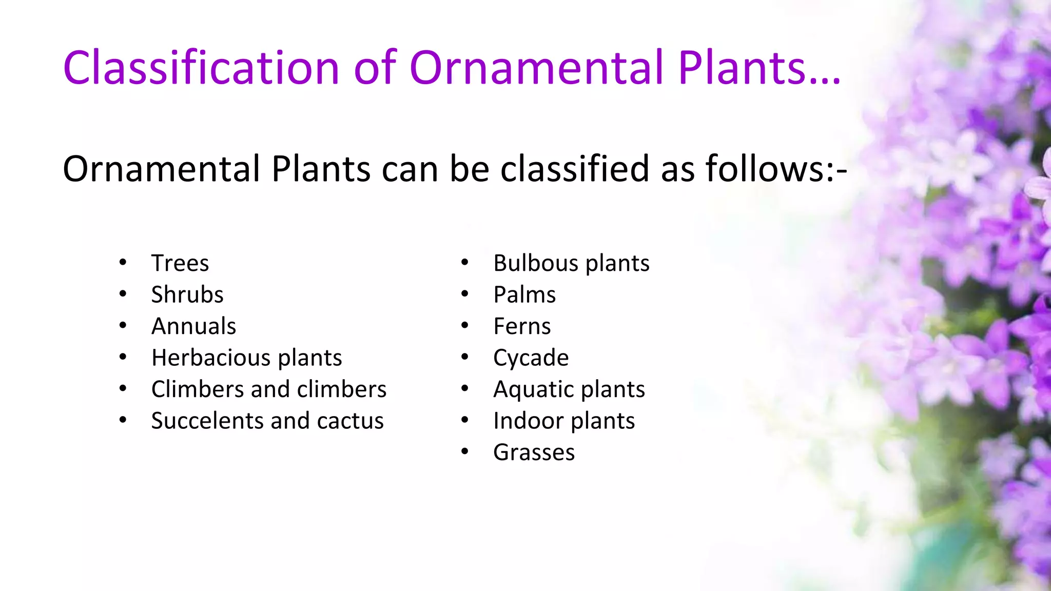 classification of ornamentals.pptx