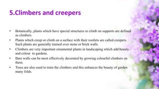 classification of ornamentals.pptx