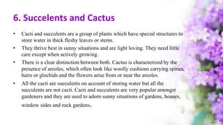 classification of ornamentals.pptx