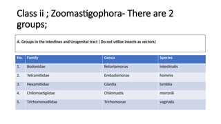 Classification of parasites.pptx health t | PPTX