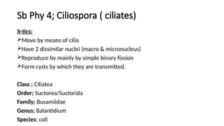 Classification of parasites.pptx health t | PPTX