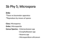 Classification of parasites.pptx health t | PPTX