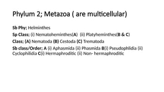 Classification of parasites.pptx health t | PPTX
