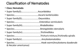 Classification of parasites.pptx health t | PPTX