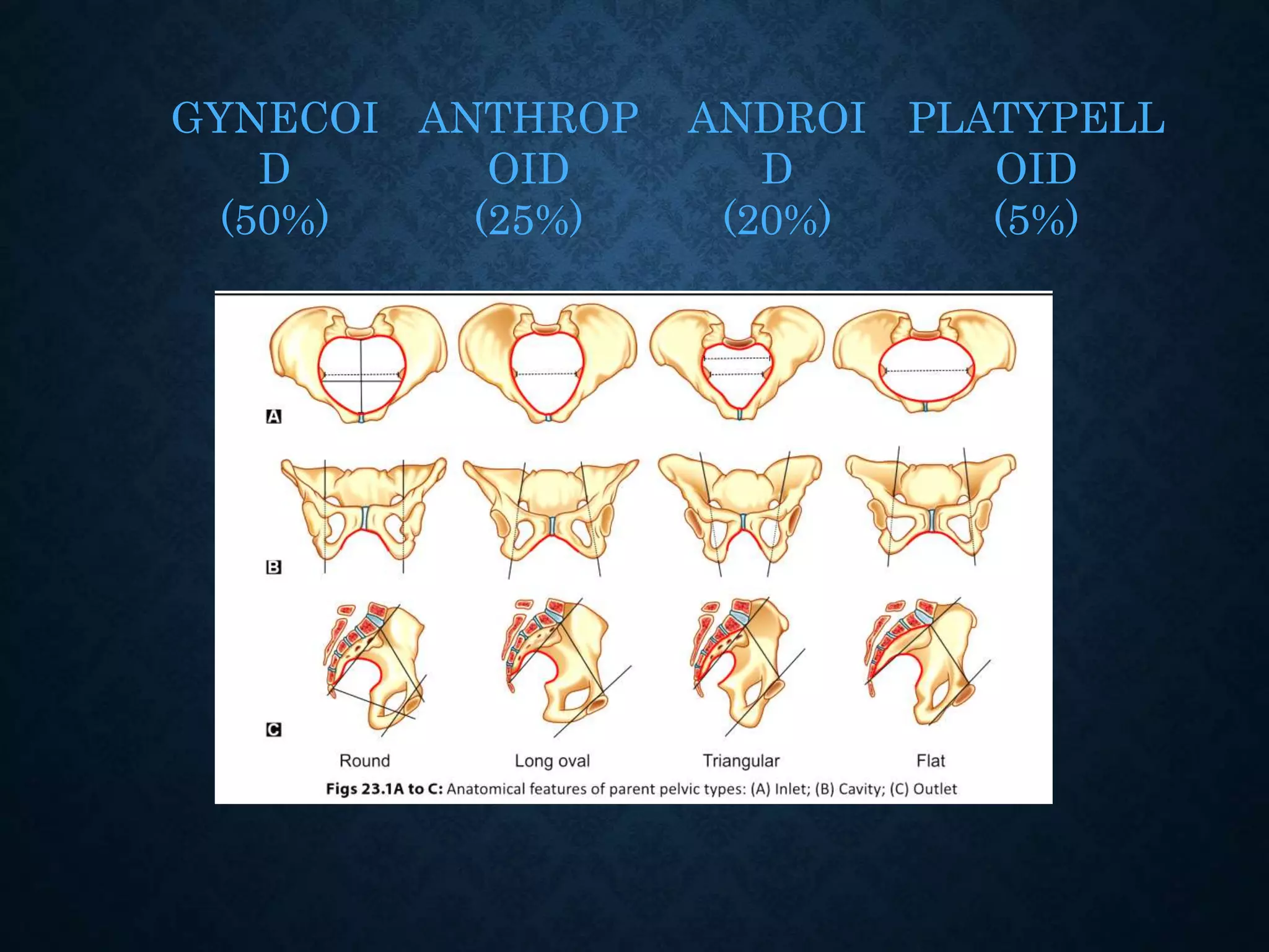 Classification of pelvis | PPTX