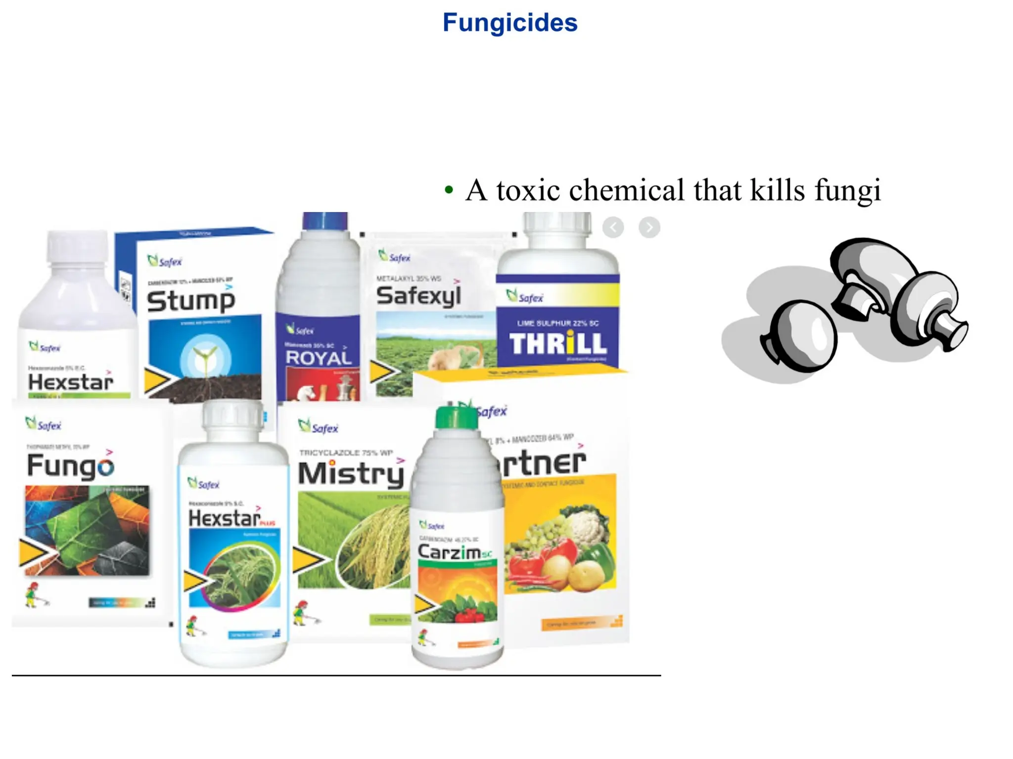 classification of pesticides and new generation pesticides.pptx