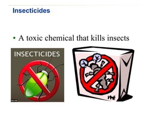 classification of pesticides and new generation pesticides.pptx
