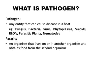 Classification of plant disease | PPTX
