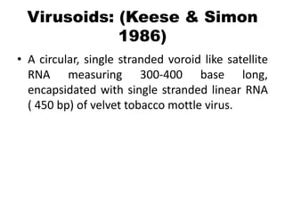 Classification of plant disease | PPTX