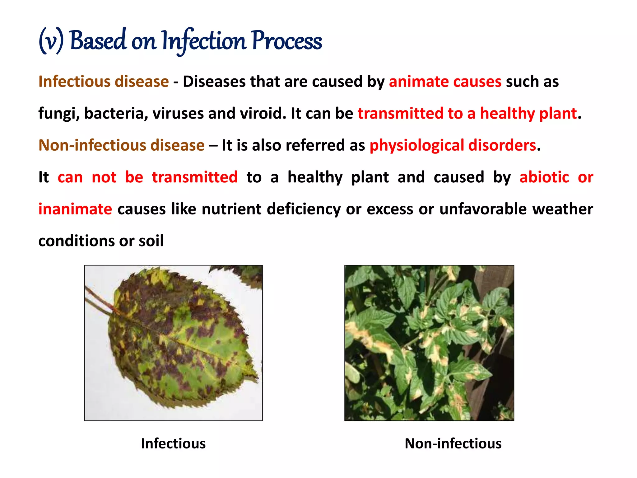 Classification of plant disease | PPTX