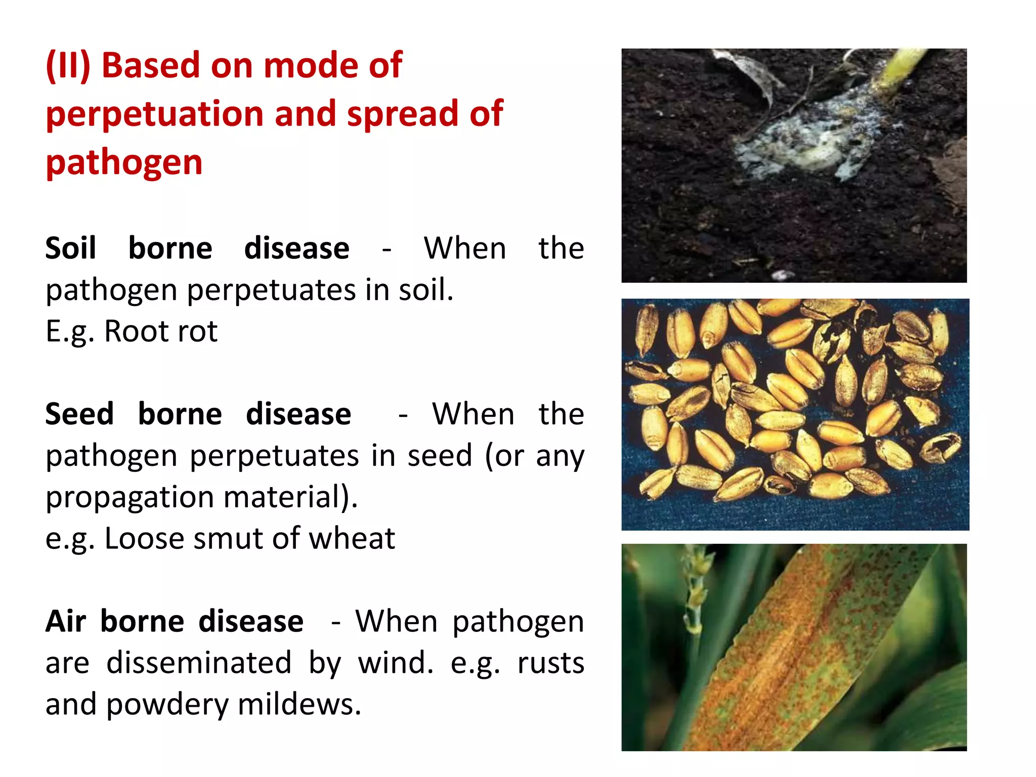 Classification of plant disease | PPTX