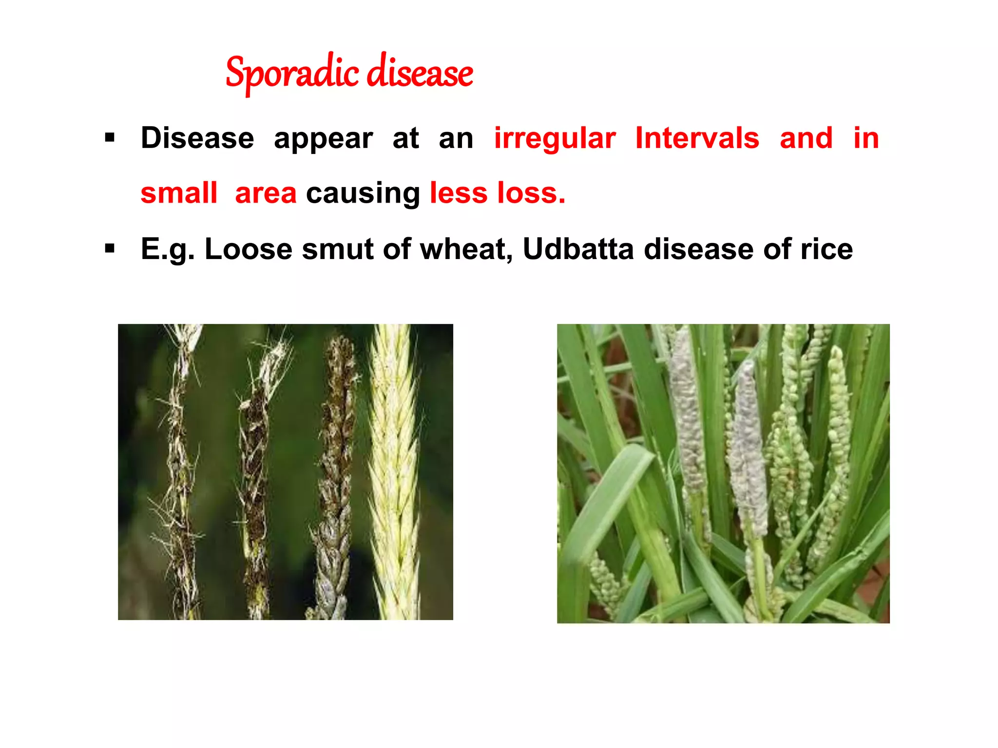 Classification of plant disease | PPTX