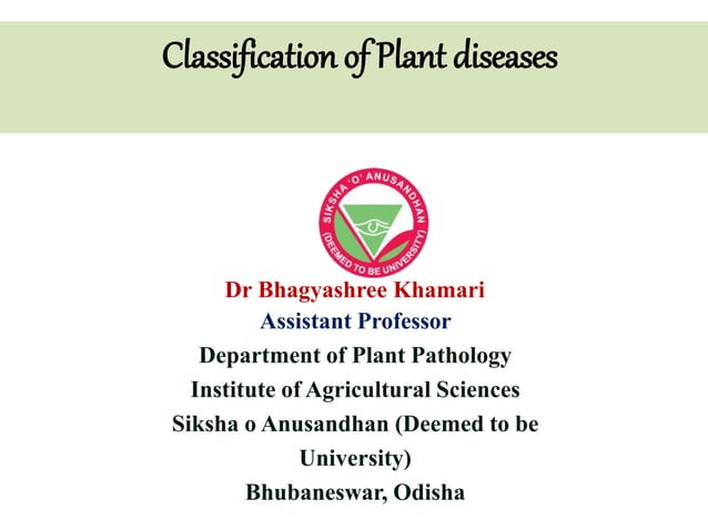 Classification of plant disease | PPTX | Infectious Diseases | Diseases ...