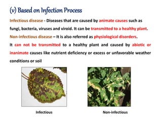 Classification of plant disease | PPTX