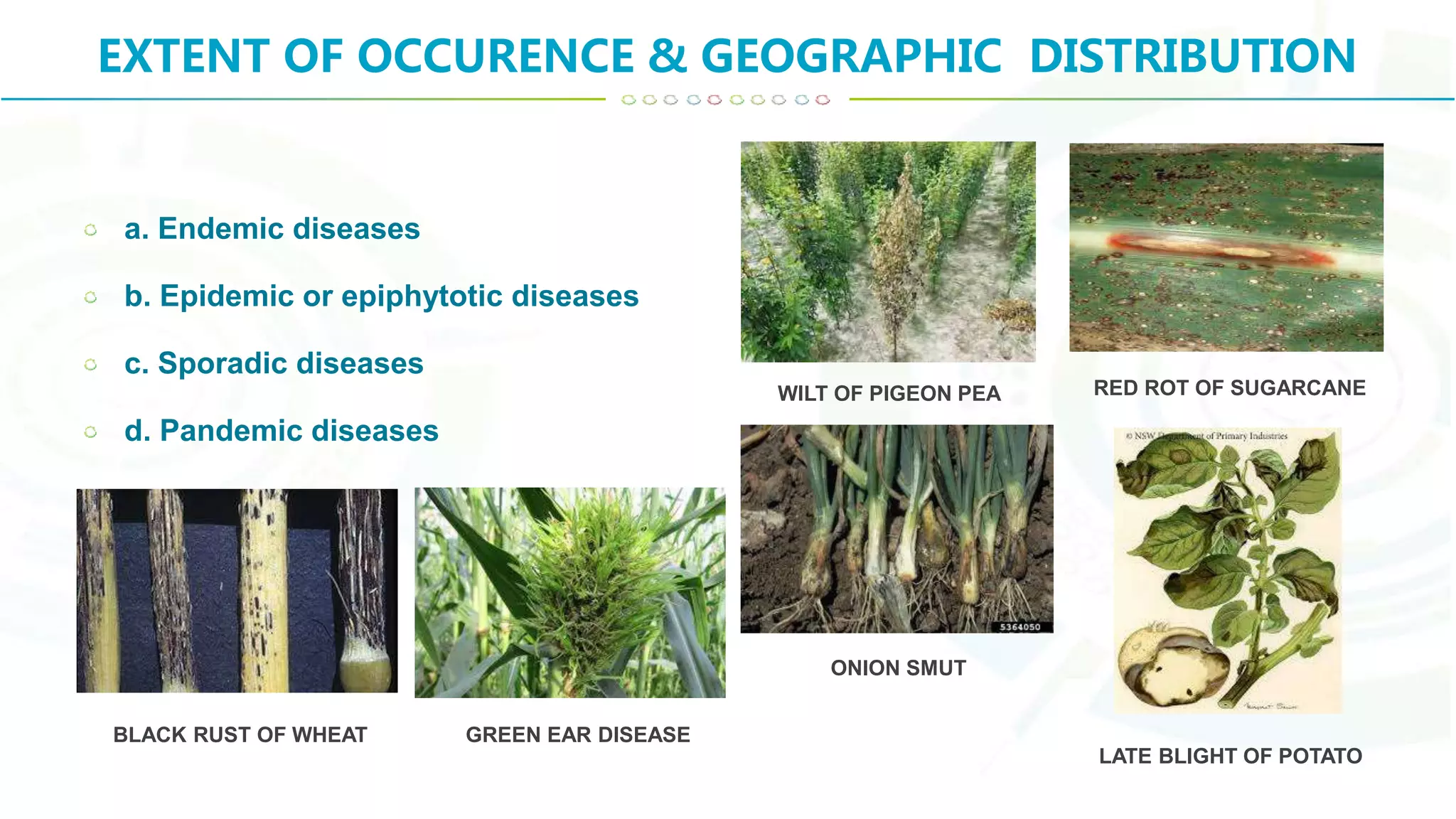 Classification of plant diseases | PPTX