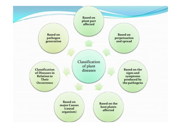 Classification of plant diseases | PDF | Gardening | Home & Garden