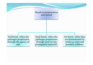 Classification of plant diseases | PDF