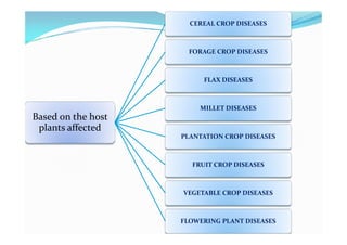 Classification of plant diseases | PDF