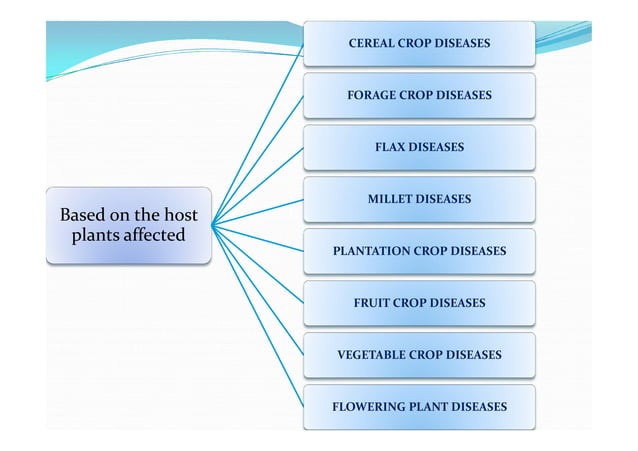 Classification of plant diseases | PDF | Gardening | Home & Garden