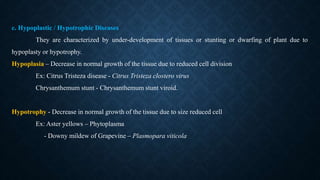 Classification of plant diseases | PPTX