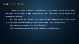 Classification of plant diseases | PPTX