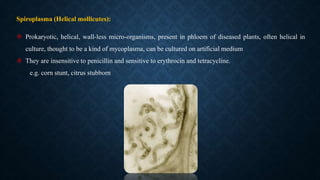 Classification of plant diseases | PPTX