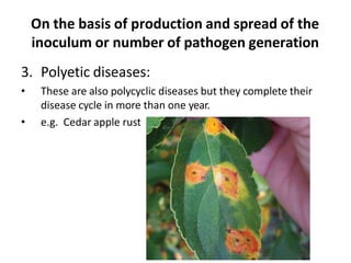 classification of plantdiseases and.pptx