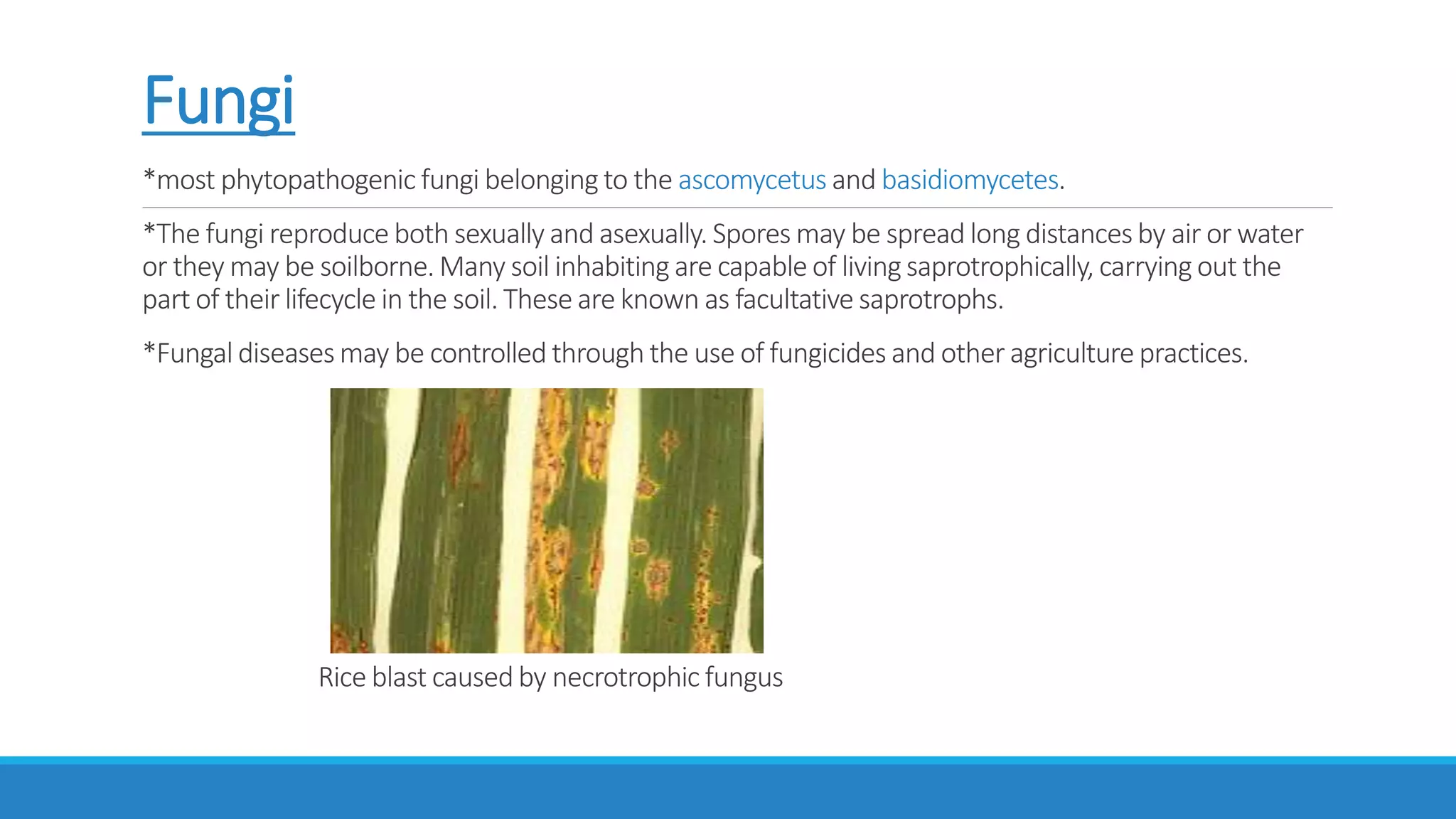 Classification of plant diseases based on causative organism | PPTX