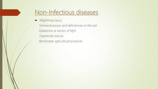 Classification of plant diseases based on causative organism | PPTX