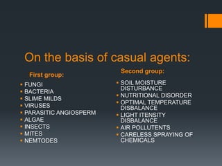 Classification of plant disease | PPTX