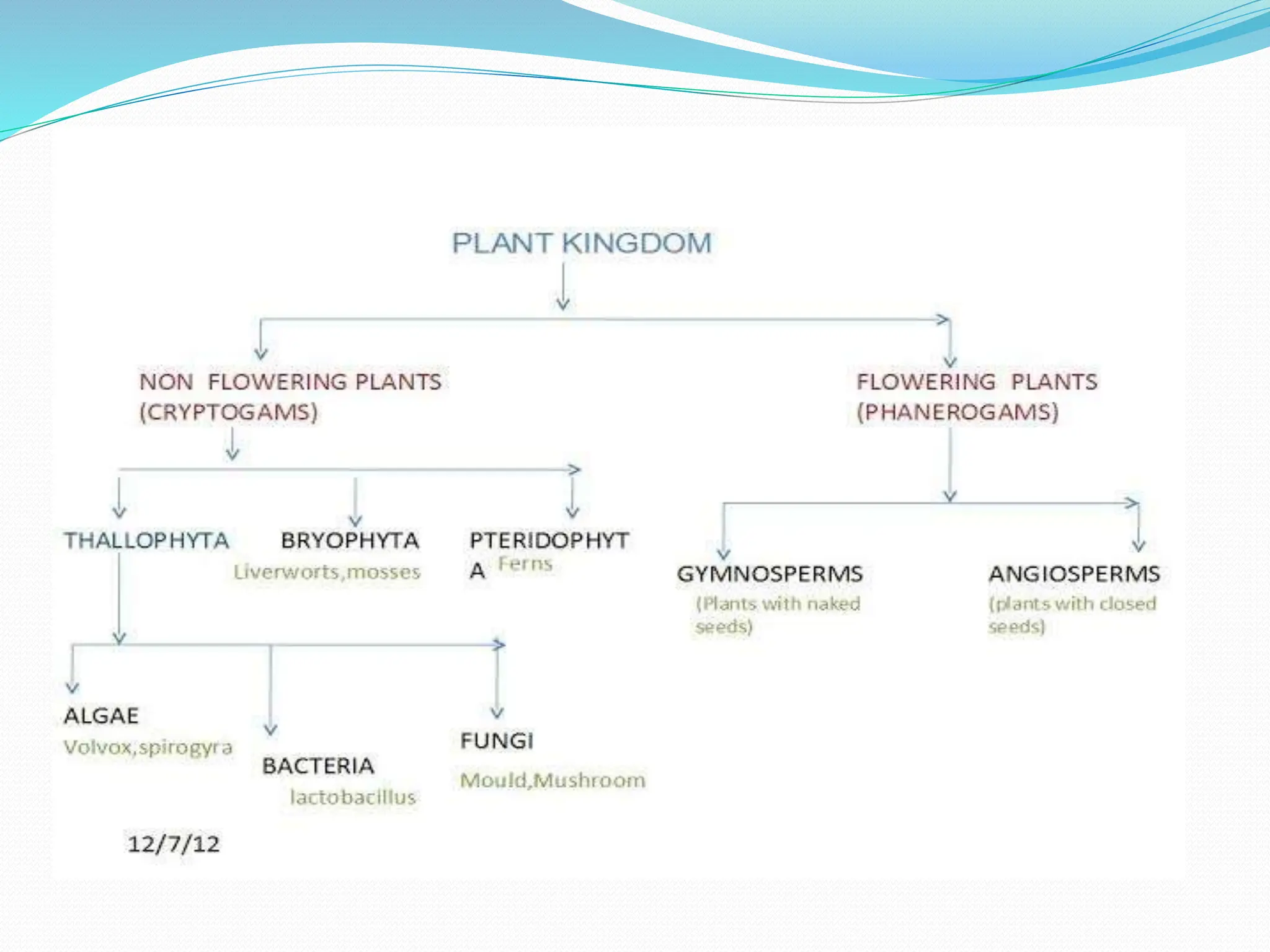 CLASSIFICATION OF PLANT KINGDOM1.pptx By Prof. IP Sahu | PPT