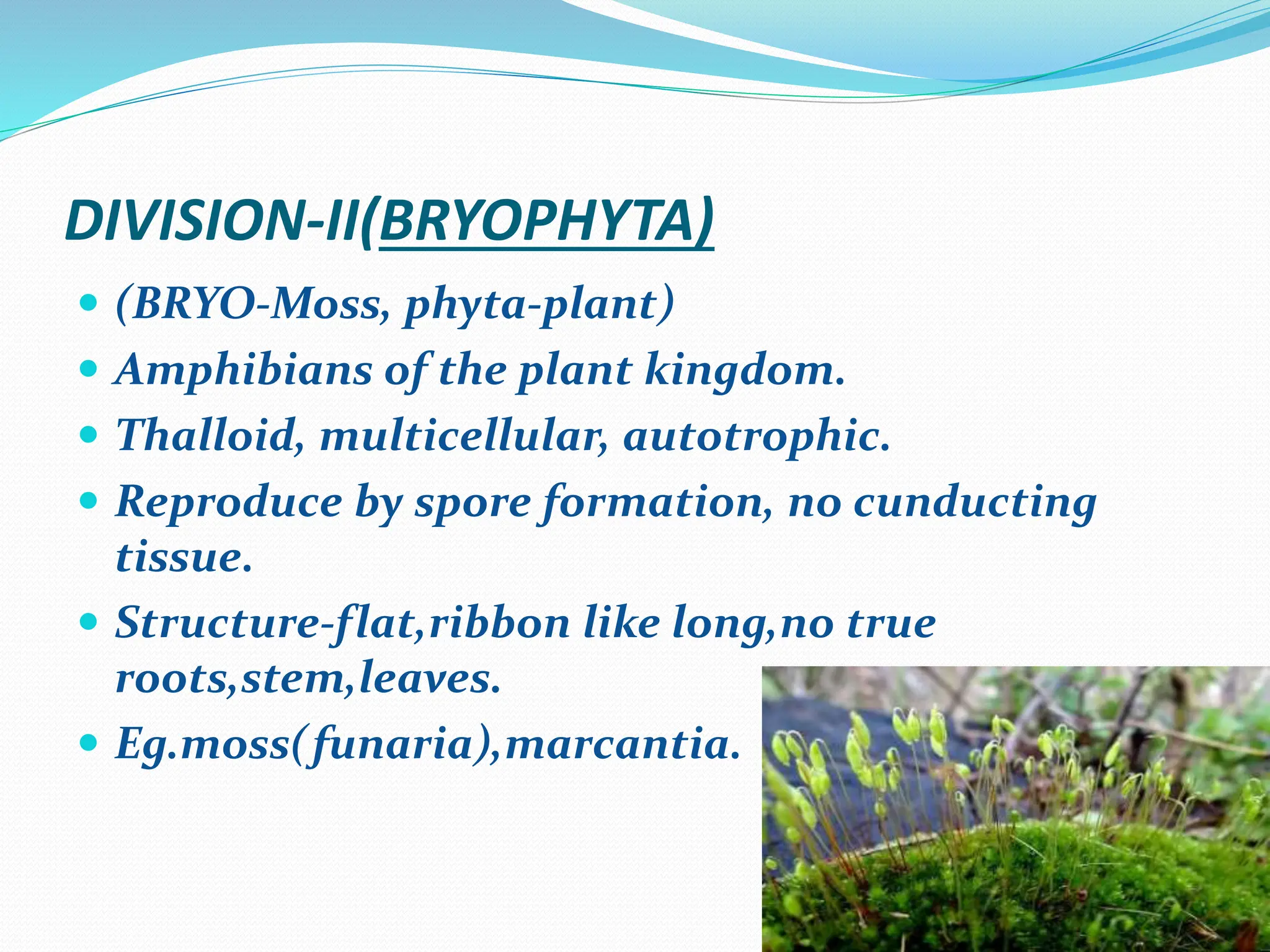 CLASSIFICATION OF PLANT KINGDOM1.pptx By Prof. IP Sahu | PPT