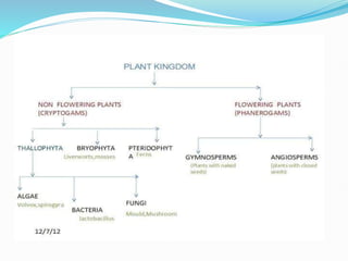 CLASSIFICATION OF PLANT KINGDOM1.pptx By Prof. IP Sahu | PPT